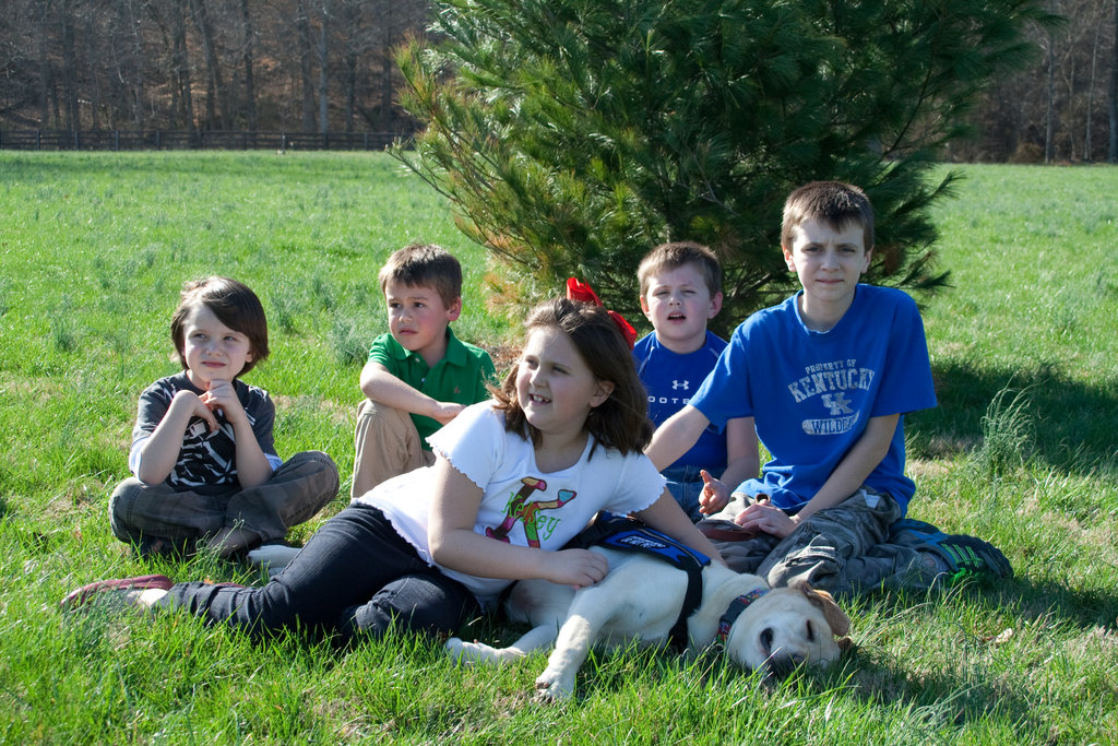 Turning Rescued Dogs Into Heroes - GlobalGiving