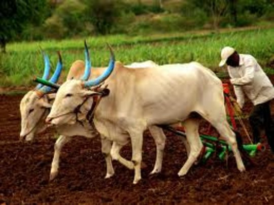 Kisan School-Empowering Indian Farmers - GlobalGiving