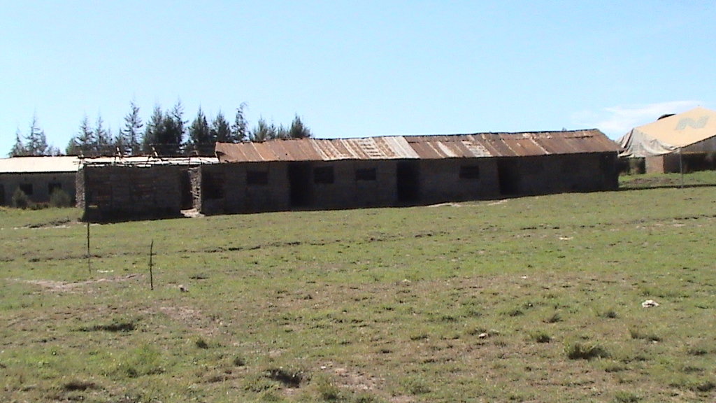 Provide 250 IDP Pupil decent Education Molo Kenya - GlobalGiving