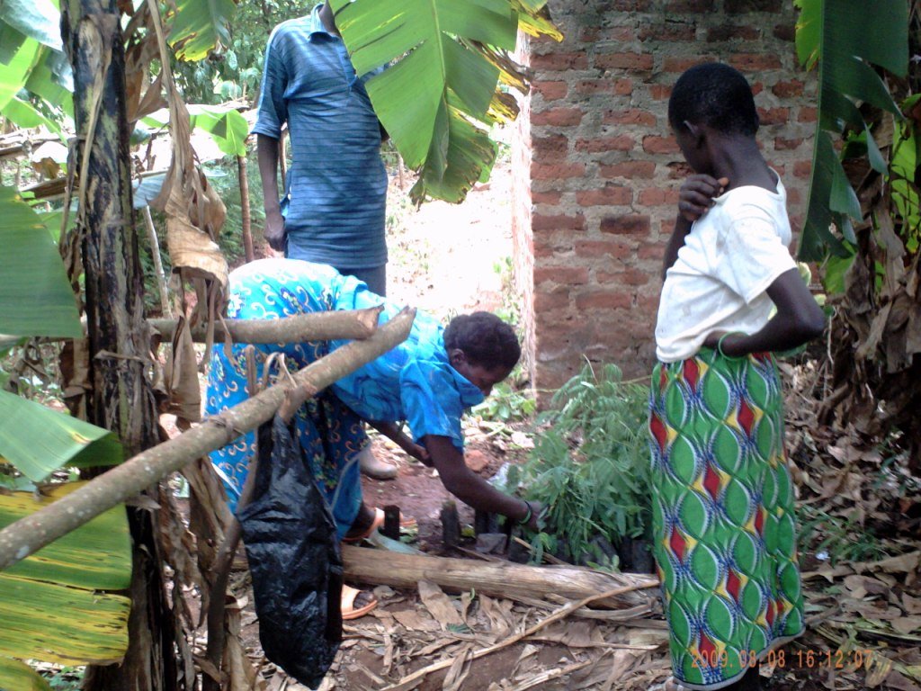 Social Forestry in Uganda: Setting a Precedent - GlobalGiving