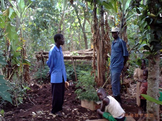 Social Forestry in Uganda: Setting a Precedent - GlobalGiving