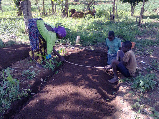 Social Forestry in Uganda: Setting a Precedent - GlobalGiving