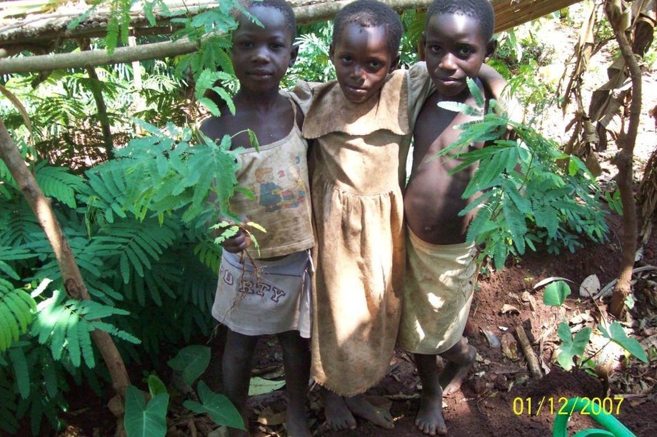 Social Forestry in Uganda: Setting a Precedent - GlobalGiving