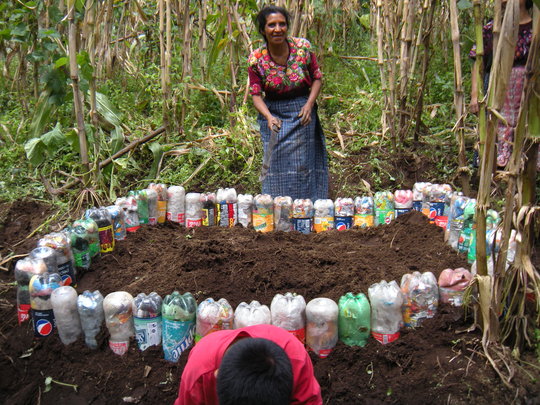 Provide Organic Gardens for 20 Indigenous Women - GlobalGiving