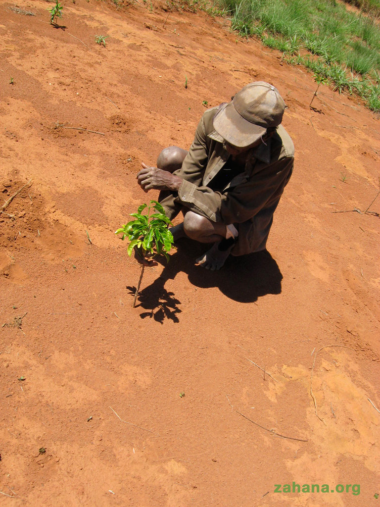 Help reward one woman's reforestation efforts - GlobalGiving