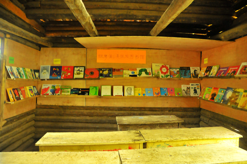 Build Libraries for Rural Children in China - GlobalGiving