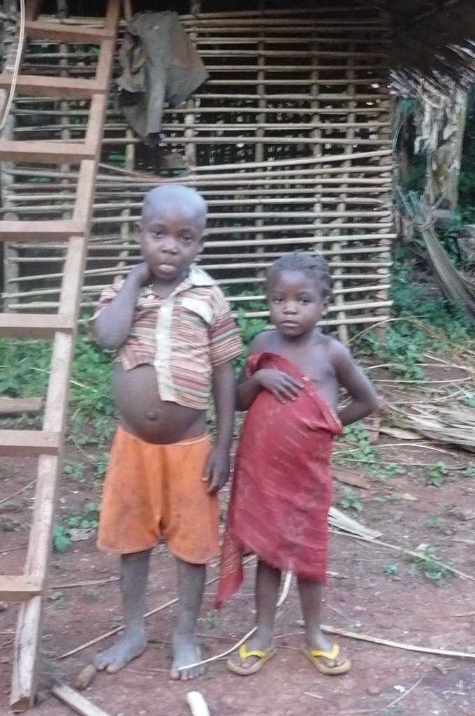 Bring Schooling to 200 pygmy children in Cameroon - GlobalGiving
