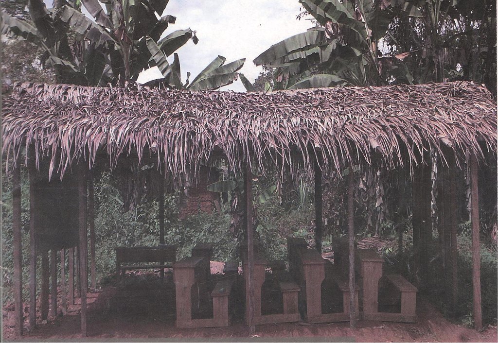 Bring Schooling to 200 pygmy children in Cameroon - GlobalGiving