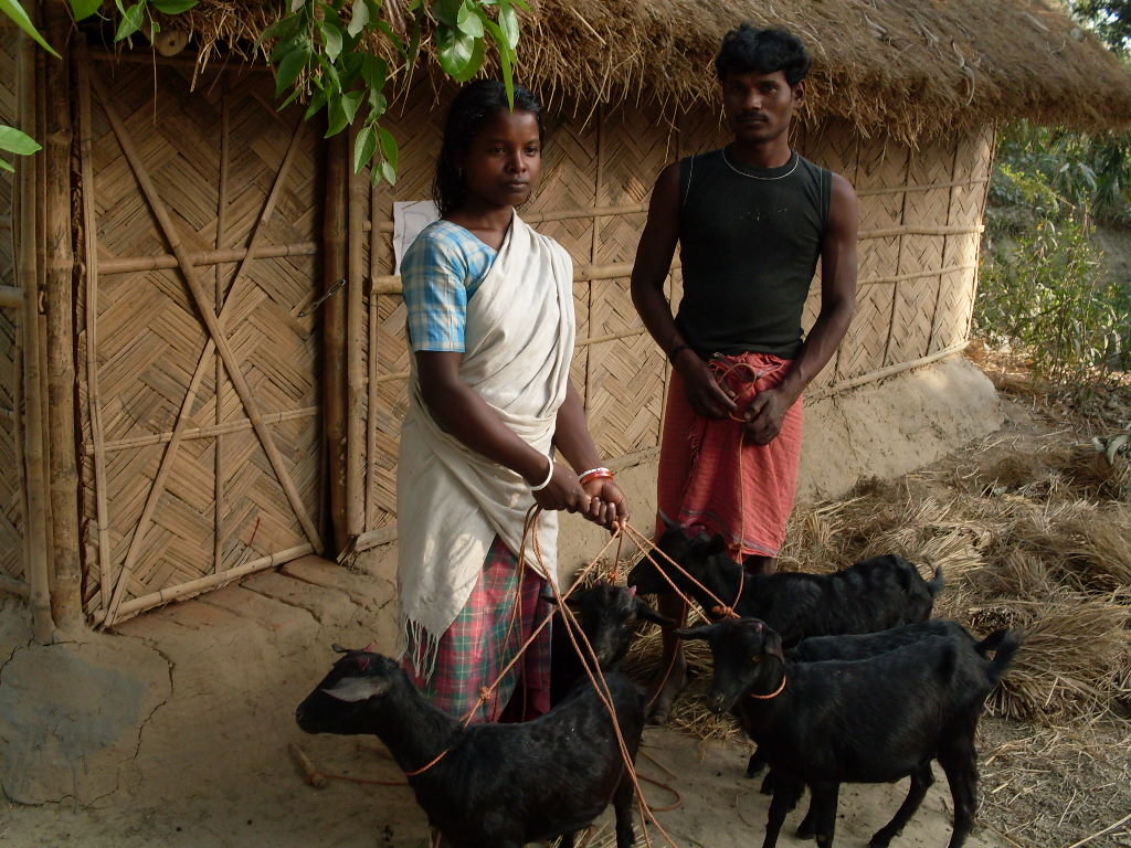 Help Indian Rural Women to be Self-Employed - GlobalGiving