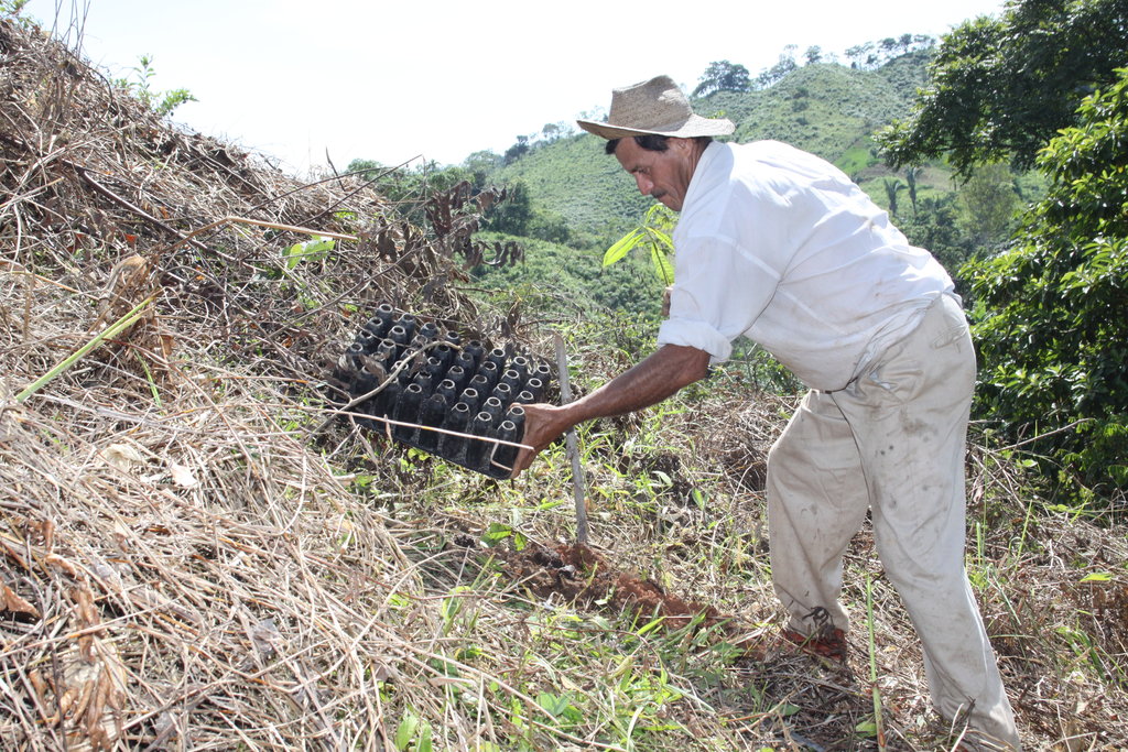 Climate change adaptation-Panama rural livelihoods - GlobalGiving