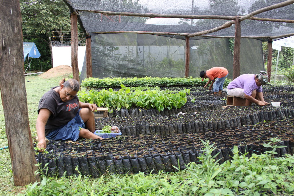 Climate change adaptation-Panama rural livelihoods - GlobalGiving