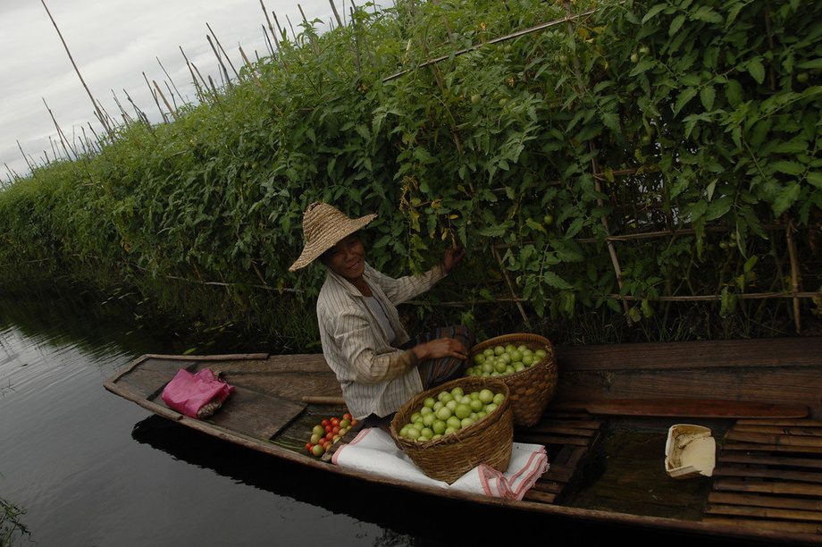 Help Environmental Farming in Myanmar - GlobalGiving