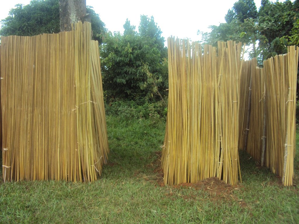 Build 2 Pit Latrine For 300 Pupil School in Uganda - GlobalGiving