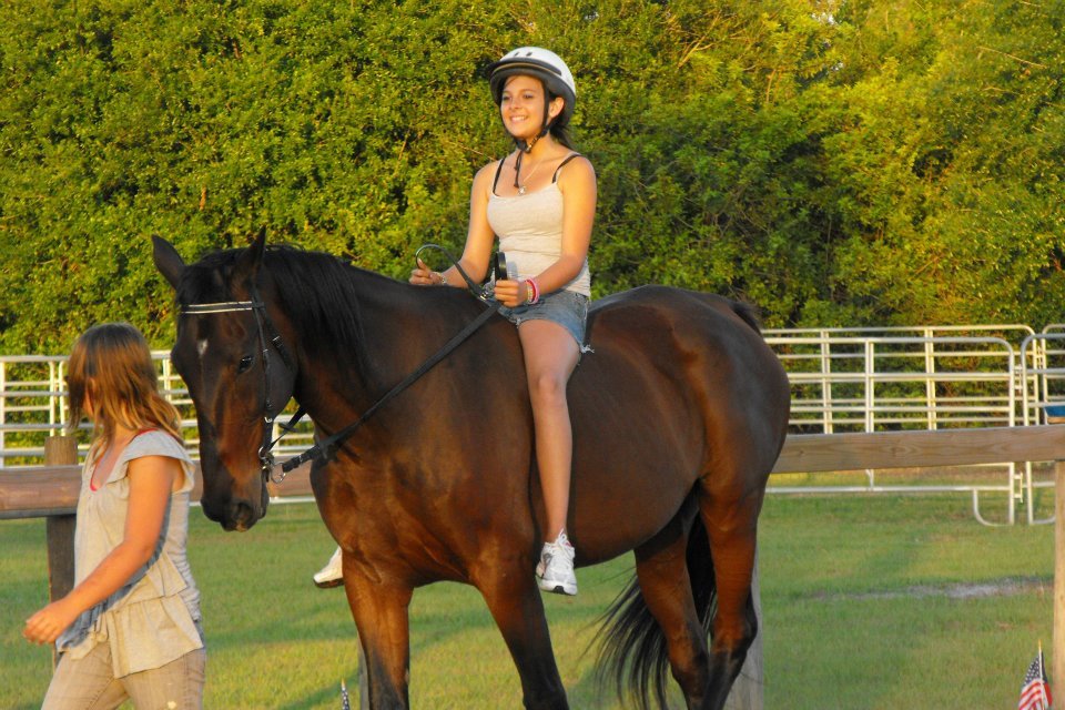 T.R.O.T.T.E.R. (Race horse Rescue & Adoption) - GlobalGiving