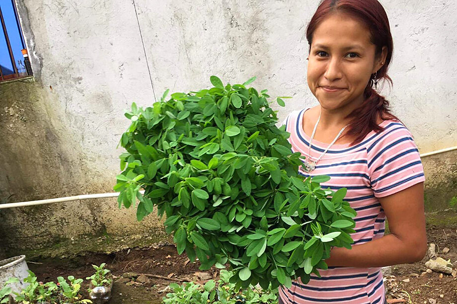 Donate to Fighting Malnutrition in Rural Guatemala - GlobalGiving Donate to Fighting Malnutrition in Rural Guatemala - GlobalGiving