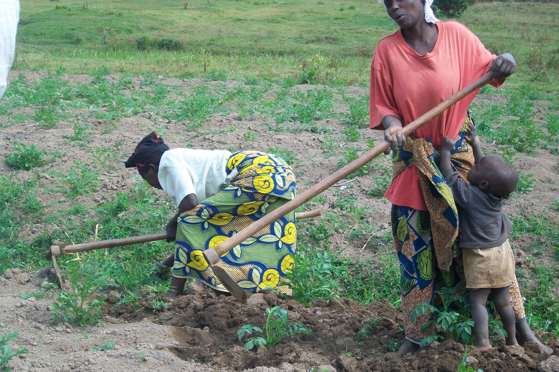 Tackle poverty in 20 Rwandan grassroots women - GlobalGiving