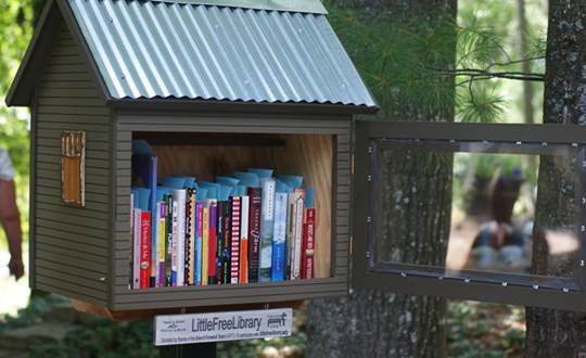 Public Mini-libraries - GlobalGiving