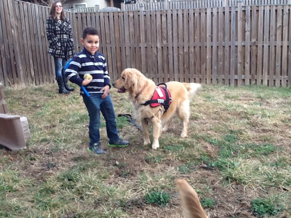 Seizure-Response Dog for Devin - GlobalGiving