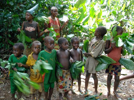 Improving the health of an indigenous Baka village - GlobalGiving