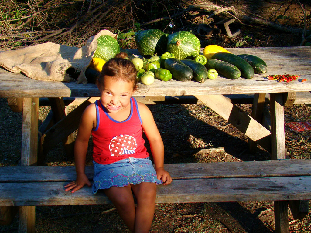 Support Organic Farming for Native Americans - GlobalGiving