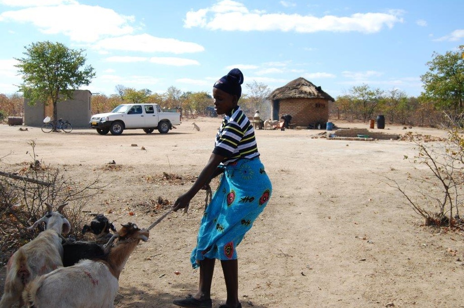 Goat Herding Skills for 22 AIDS Orphans - GlobalGiving