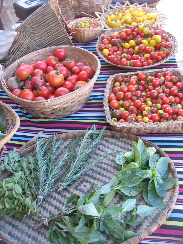 Food Security & Drought Preparedness- Baja Mexico - GlobalGiving