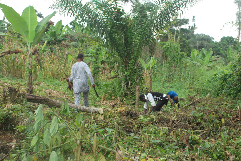 Help empower 10 poor communities in Nigeria - GlobalGiving