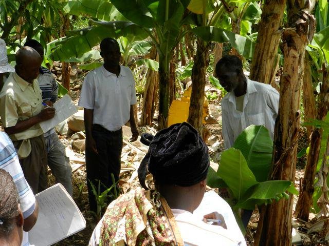 Permaculture Survival Strategy, Chikukwa, Zimbabwe - GlobalGiving