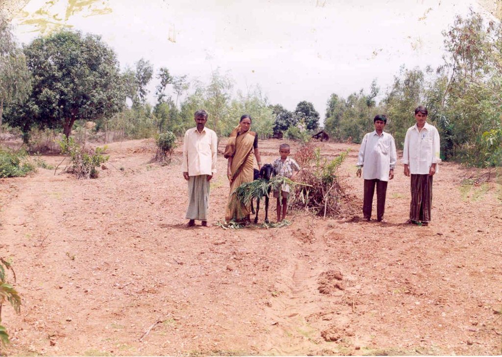1000 small farmer families come out of distress - GlobalGiving