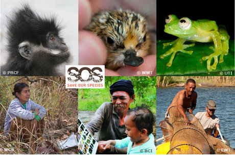 SOS - Help save species & sustain livelihoods! - GlobalGiving