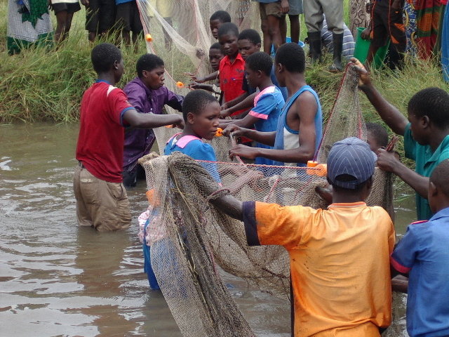 Fish to Feed HIV affected families in Malawi - GlobalGiving