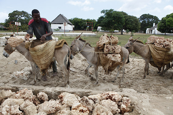 ANIDAN Arts & Crafts centre, Lamu, Kenya - GlobalGiving