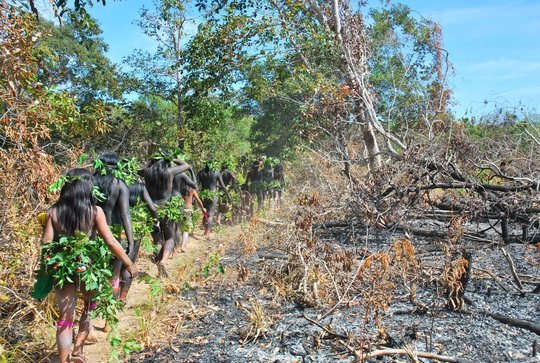 KAMAYURA JEMO'ENTAP: Preserving Kamayura Culture - GlobalGiving
