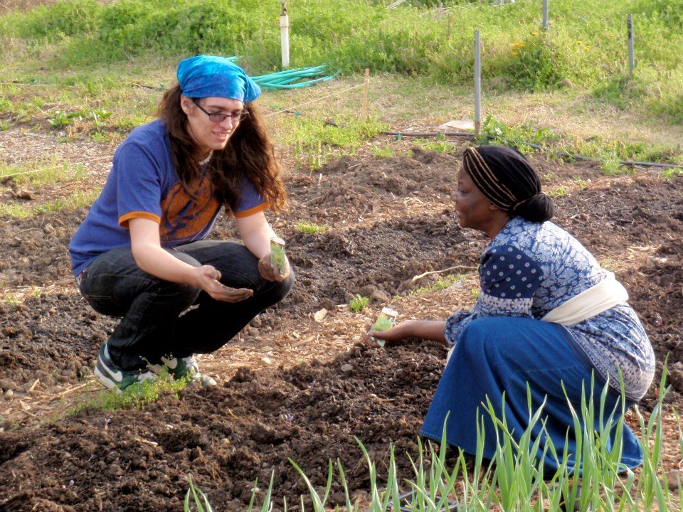 Teach people to grow their own healthy food in DC - GlobalGiving