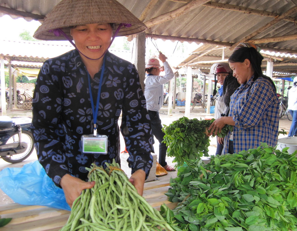 Reports on Enable 100 Vietnamese farmers to grow safe food - GlobalGiving