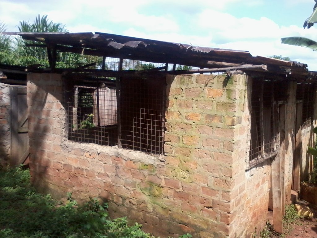 Refurbishment of a community piggery house - GlobalGiving