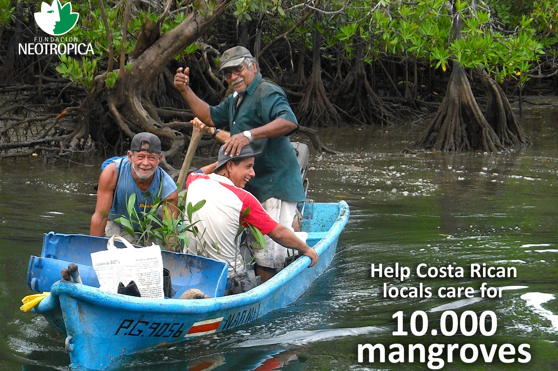 Help Costa Rican locals care for 10.000 mangroves - GlobalGiving