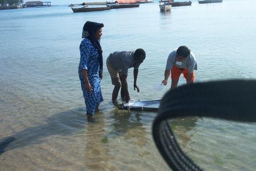 Sustainable Coastal Communities and Ecosystems - GlobalGiving