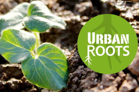 Urban Roots Core Youth Program - GlobalGiving