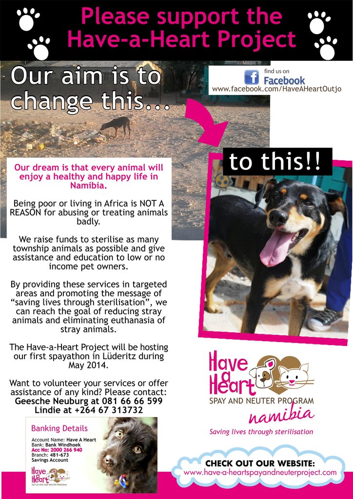 Help Animals in 10 Countries Get Needed Care - GlobalGiving