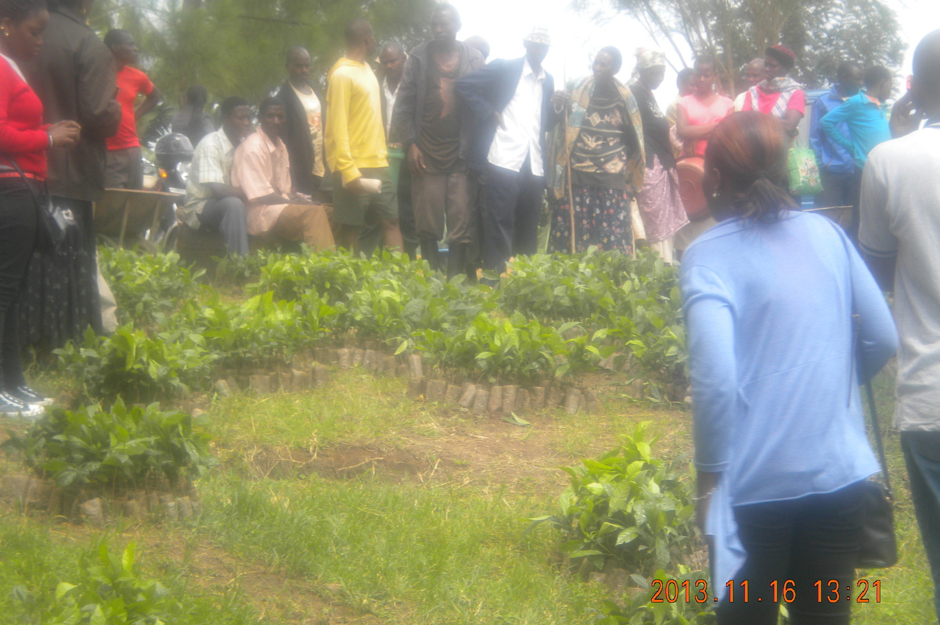 Tree Planting and Water Supply for 14,850 Ugandans - GlobalGiving