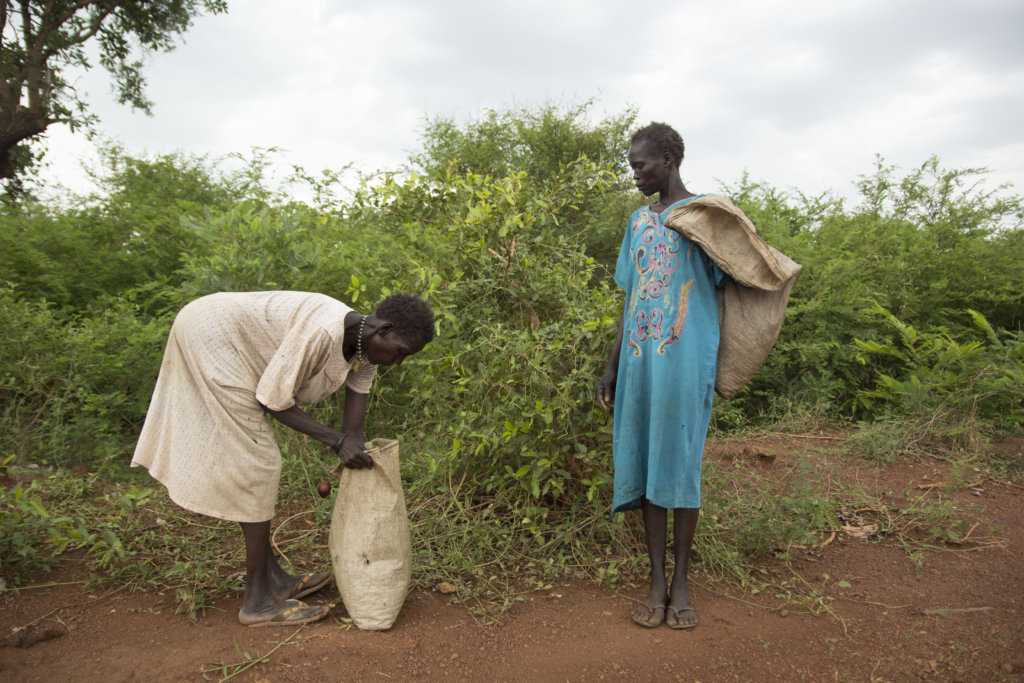 Rescue Displaced Families in South Sudan - GlobalGiving