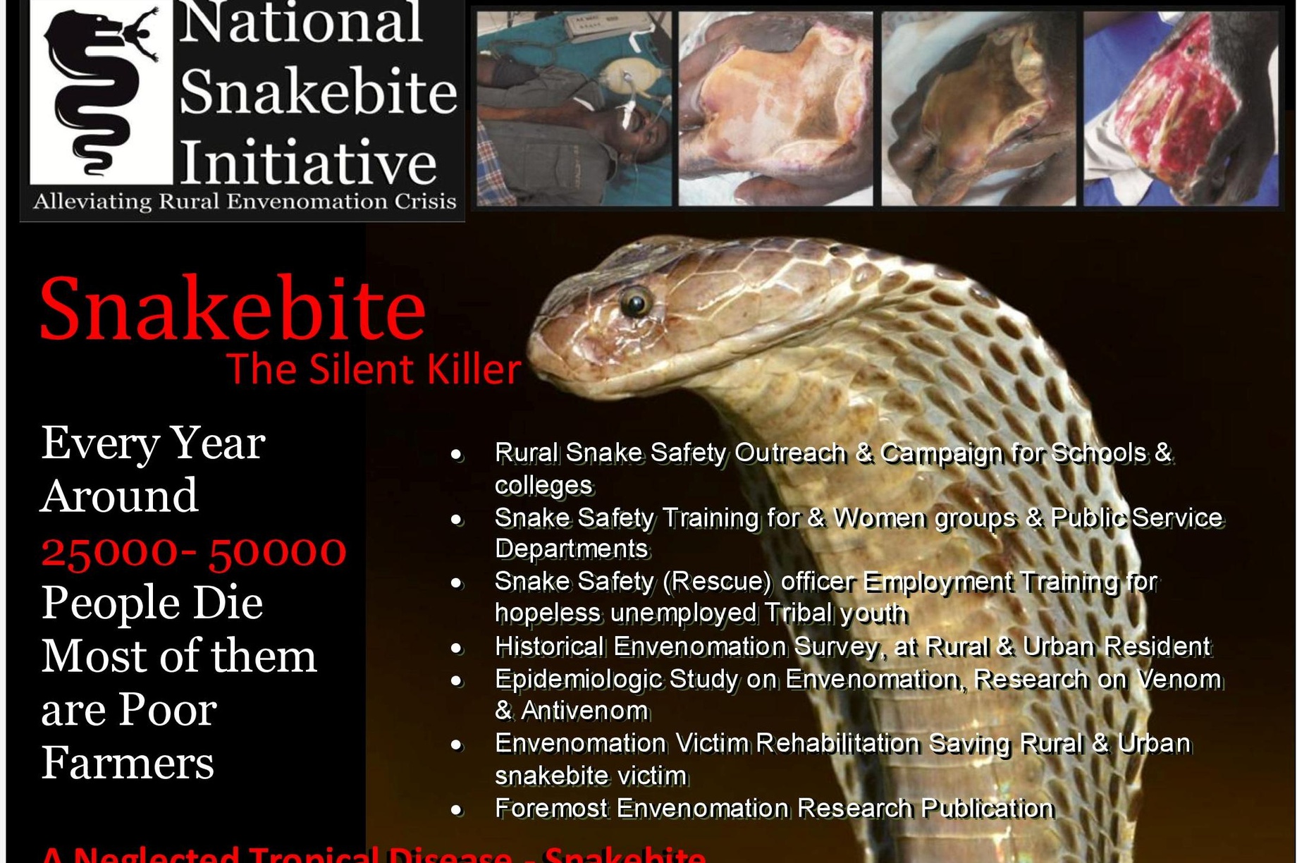 Alleviating Sufferings of Rural Snakebite Victims - GlobalGiving