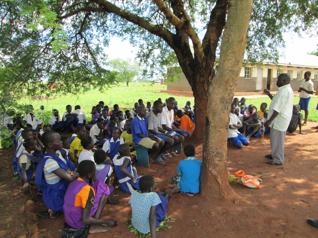 plant multi-purpose trees in 4 primary schools - GlobalGiving