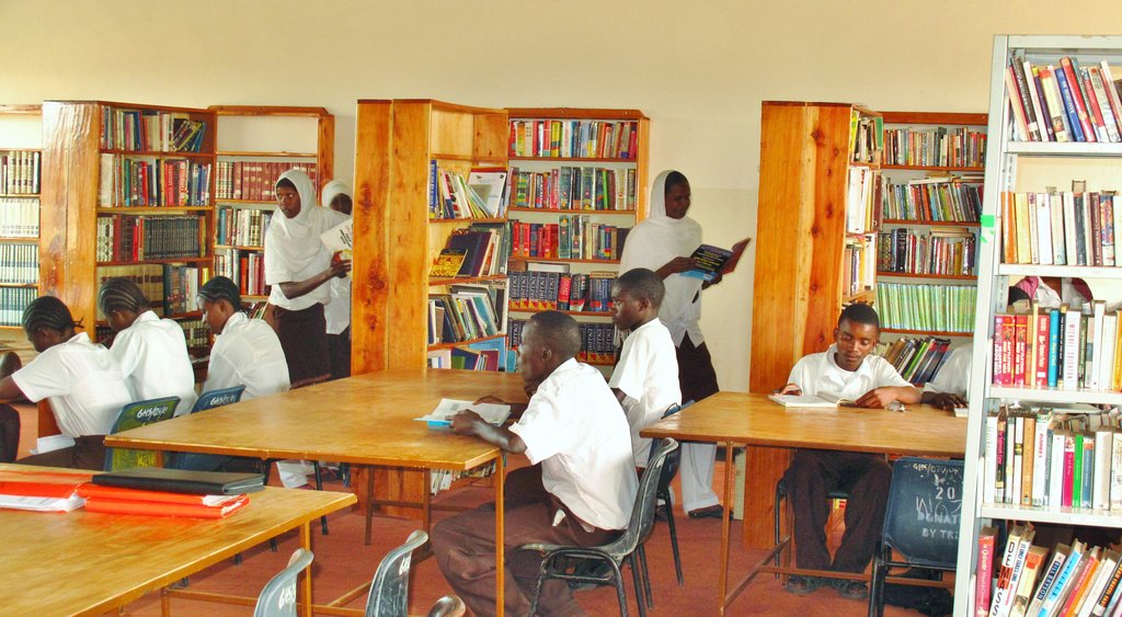 Reports on Mobile Library for Rural Kenyan Youths - GlobalGiving