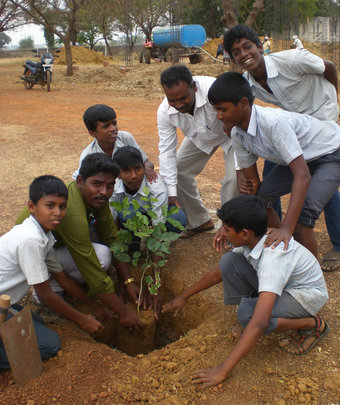 Provide 1000 plants to school planting program - GlobalGiving