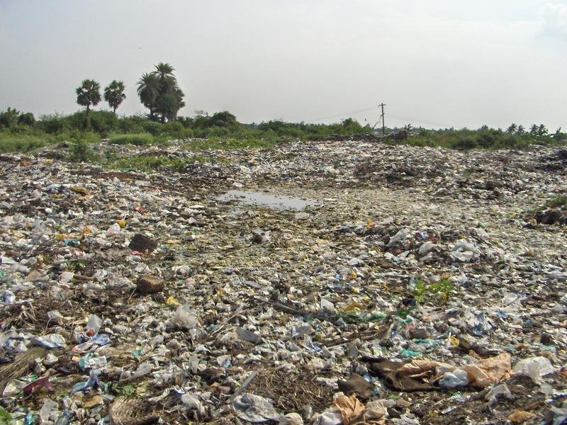 Turning waste into wealth for 1000 households - GlobalGiving