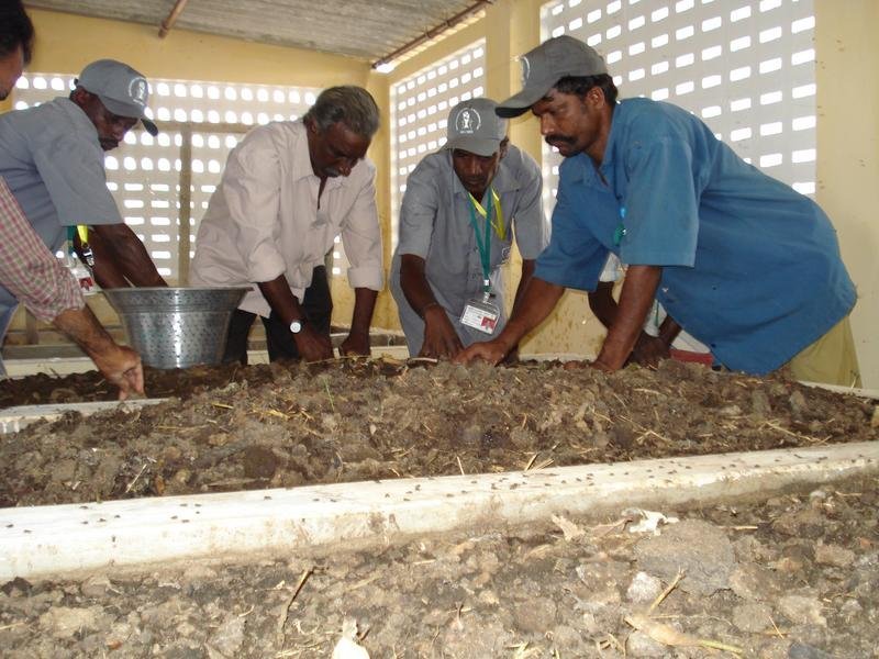 Turning waste into wealth for 1000 households - GlobalGiving