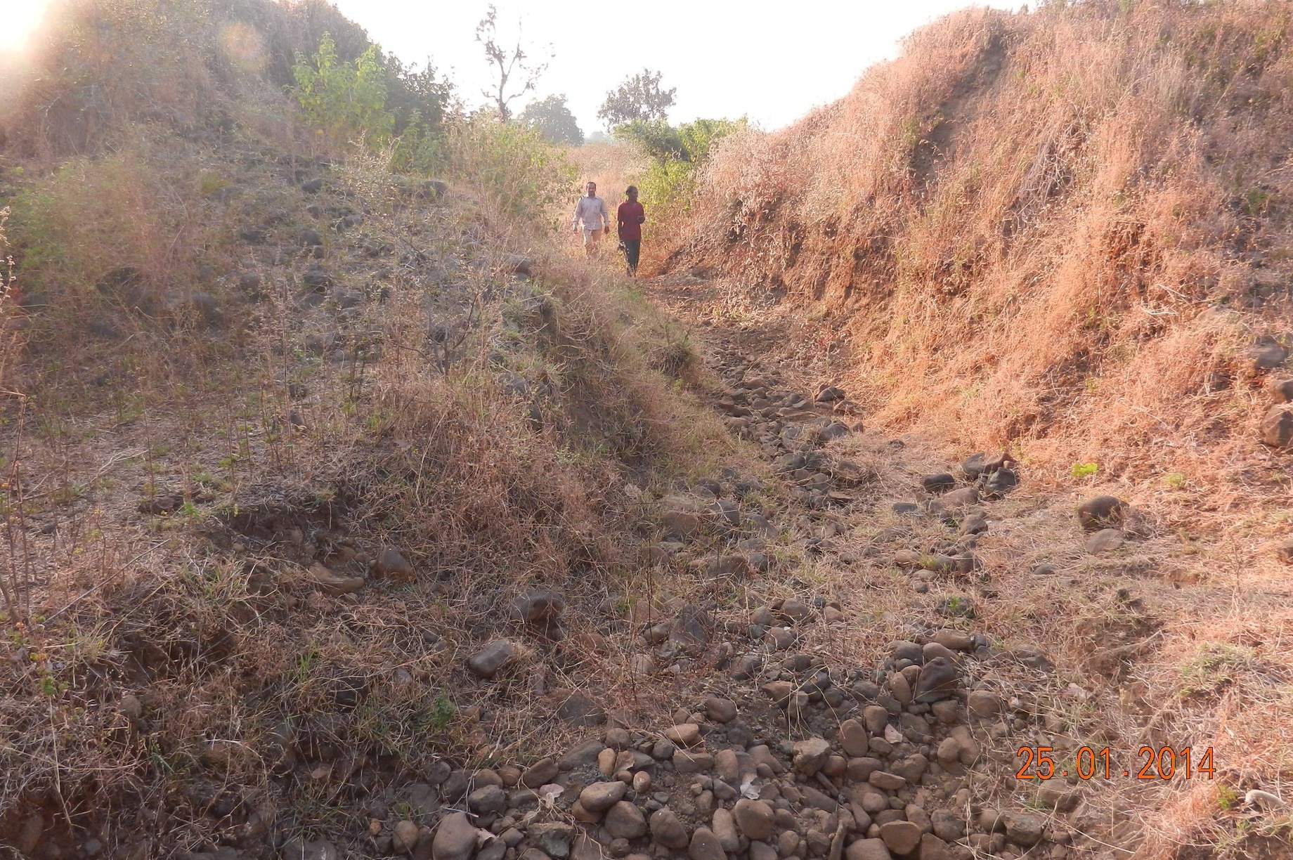 Pathari Village Project for Indian farmers - GlobalGiving