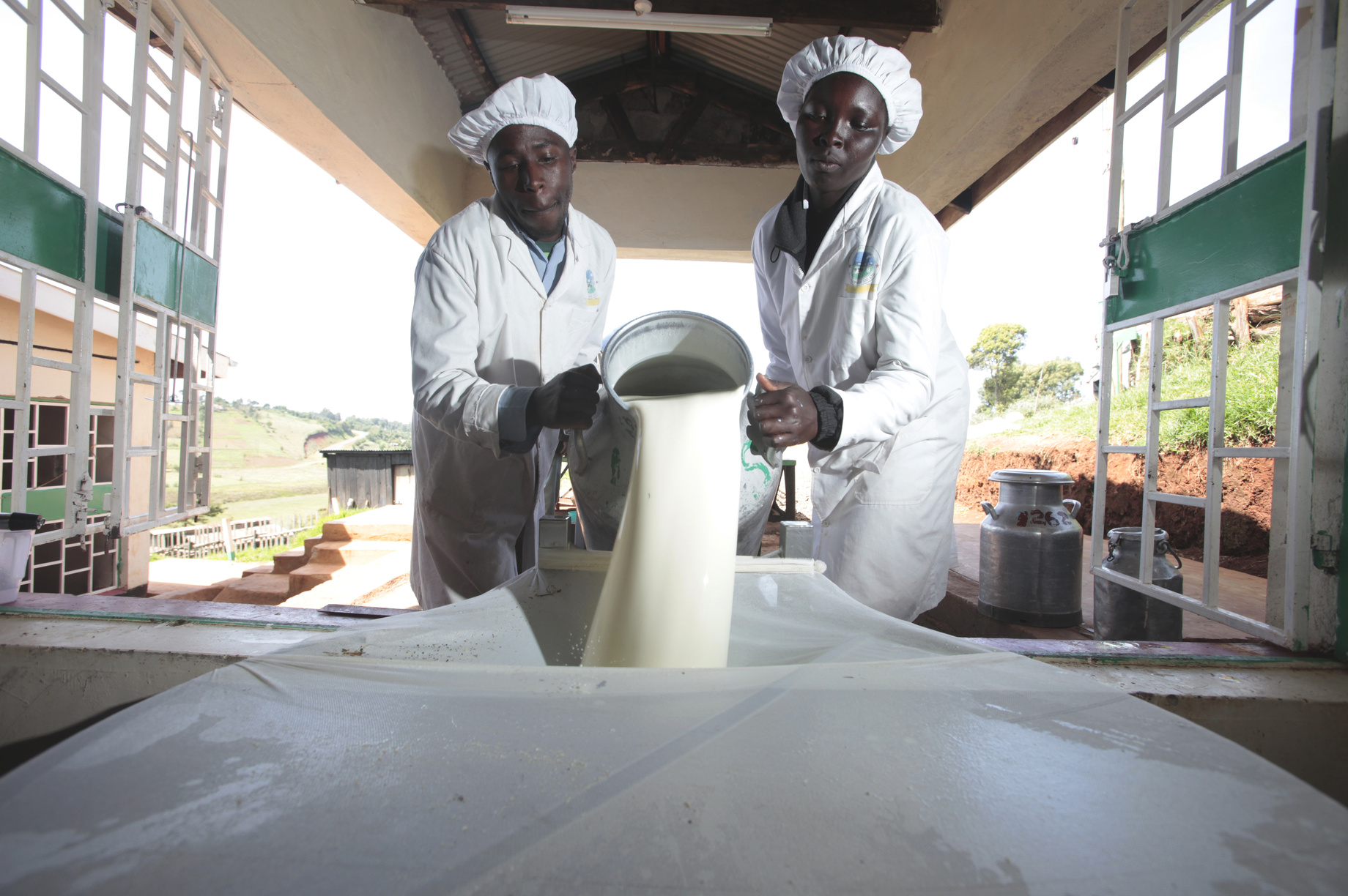 EADD II - East Africa Dairy Development Phase II - GlobalGiving